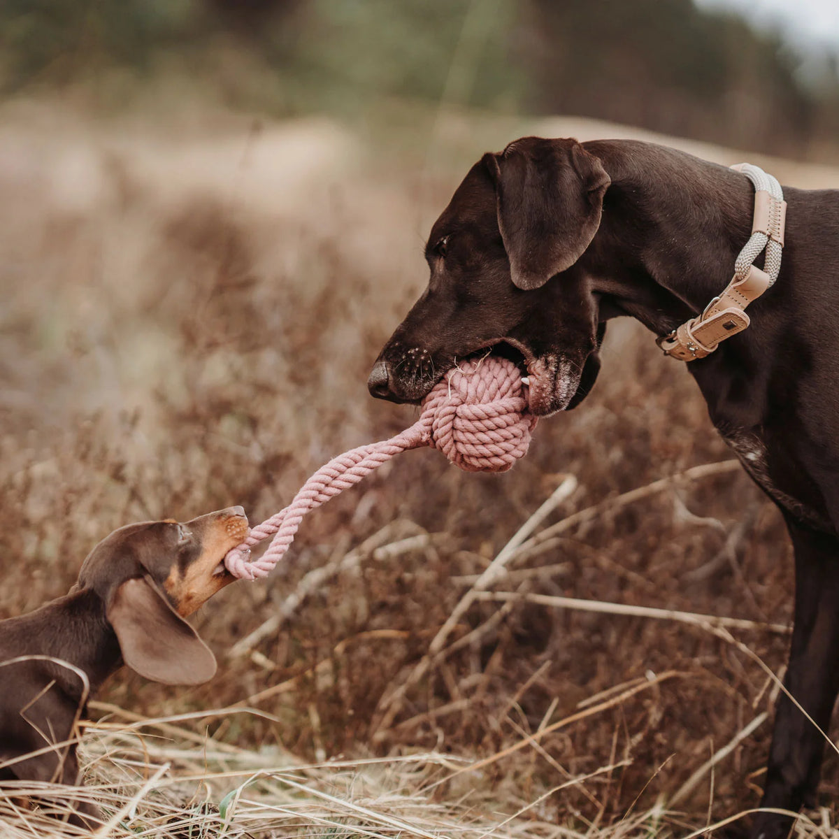 Inari Ball with Handloop - Dusky Pink
