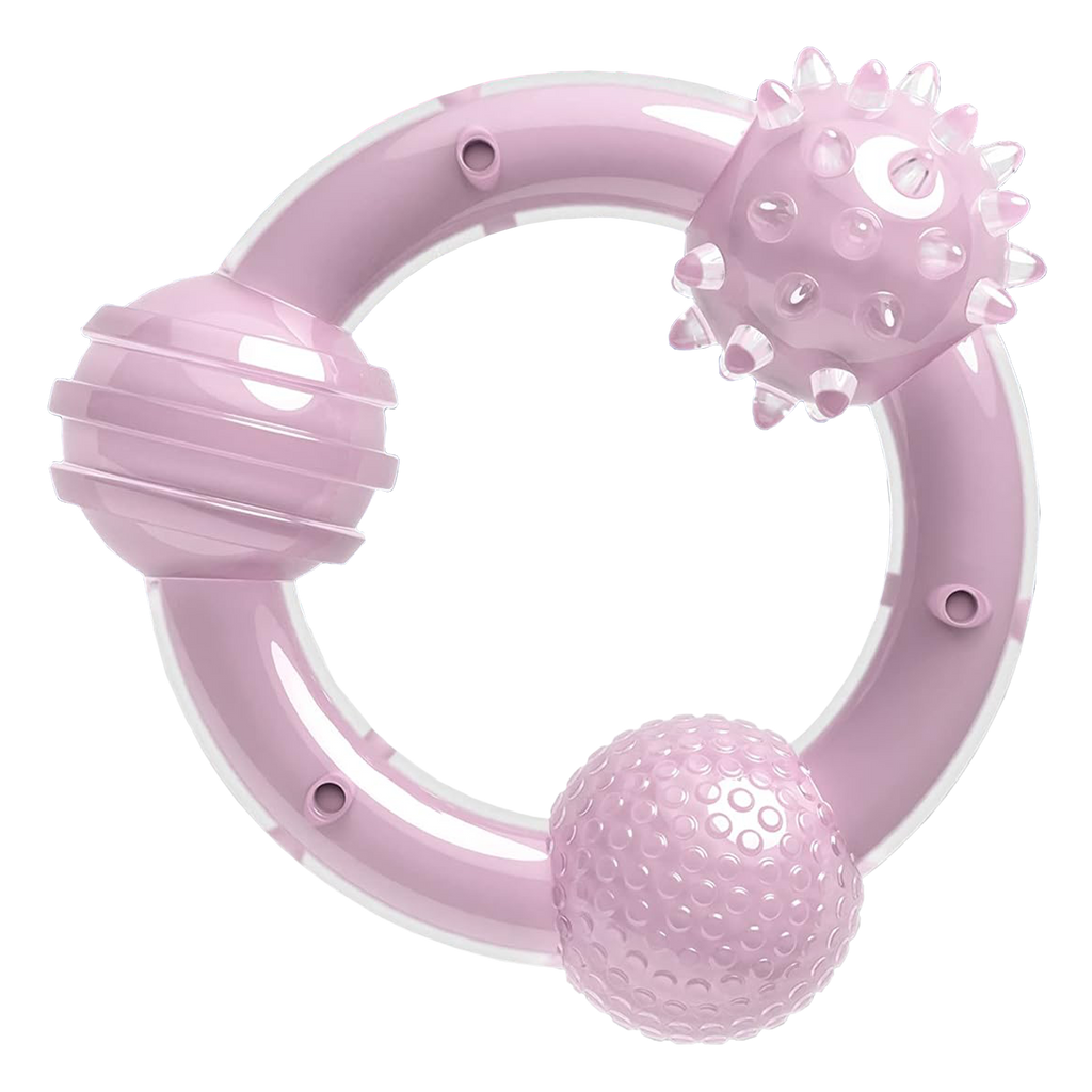 Luxury Dog Products & Accessories | Online Pet Store | Charli & Coco