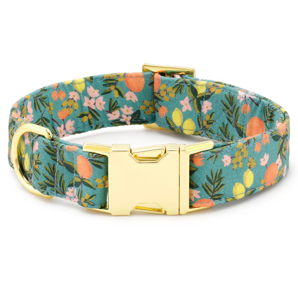 Rifle Paper Co x TFD Citrus Floral Dog Collar