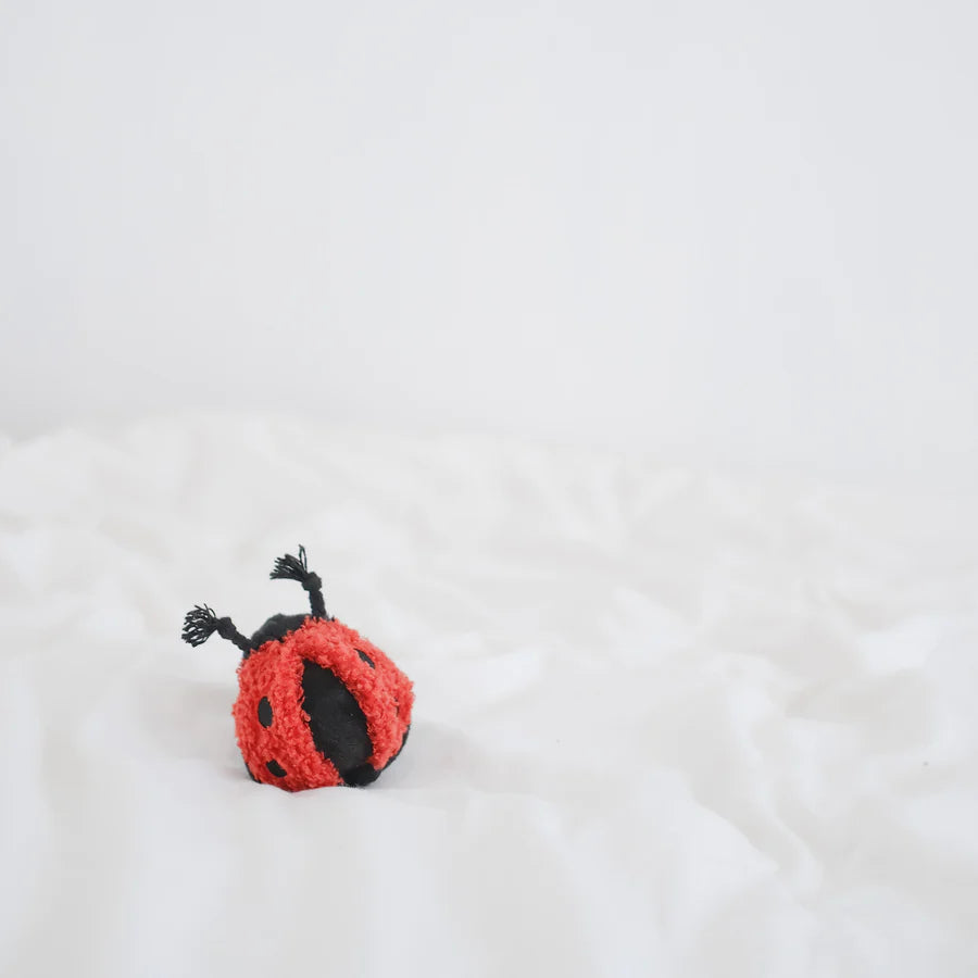 Ladybug Pop Enrichment Toy