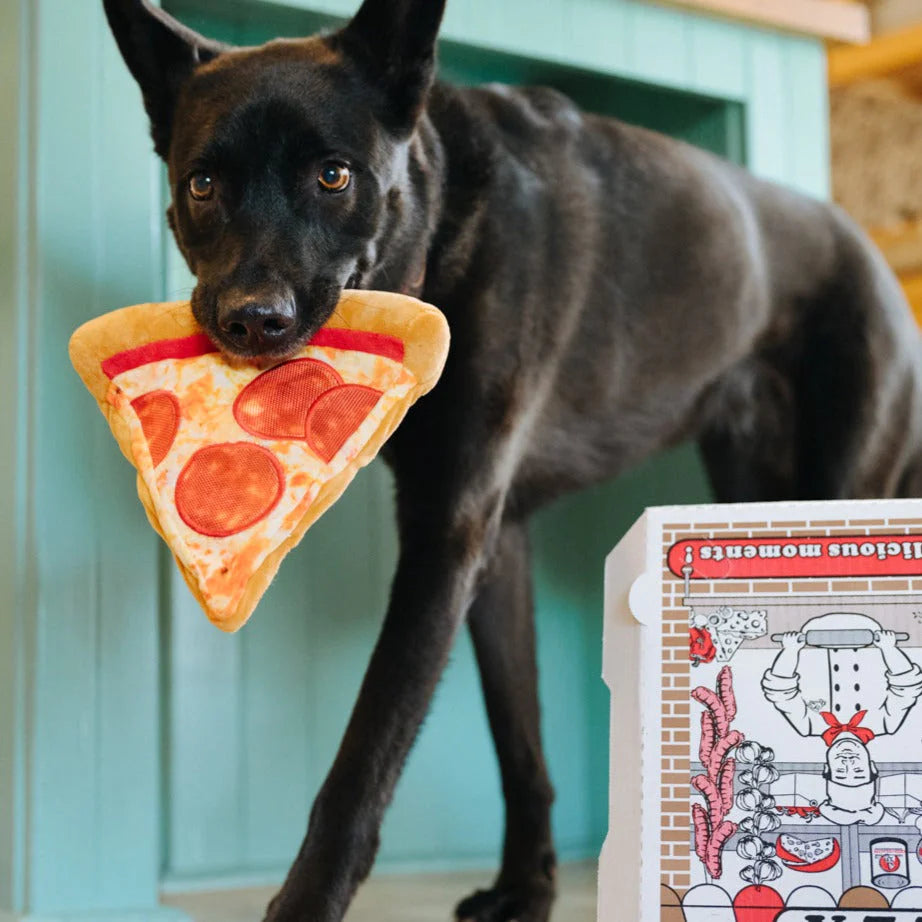 Snack Attack Puppy Roni Pizza Dog Toy