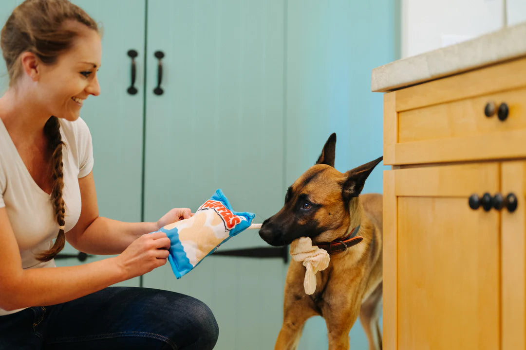 Snack Attack Fluffles Chips Dog Toy