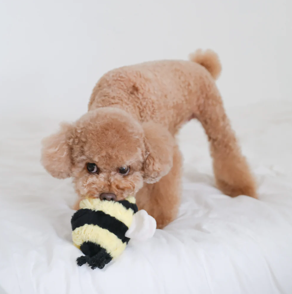 Bee Pop Toy