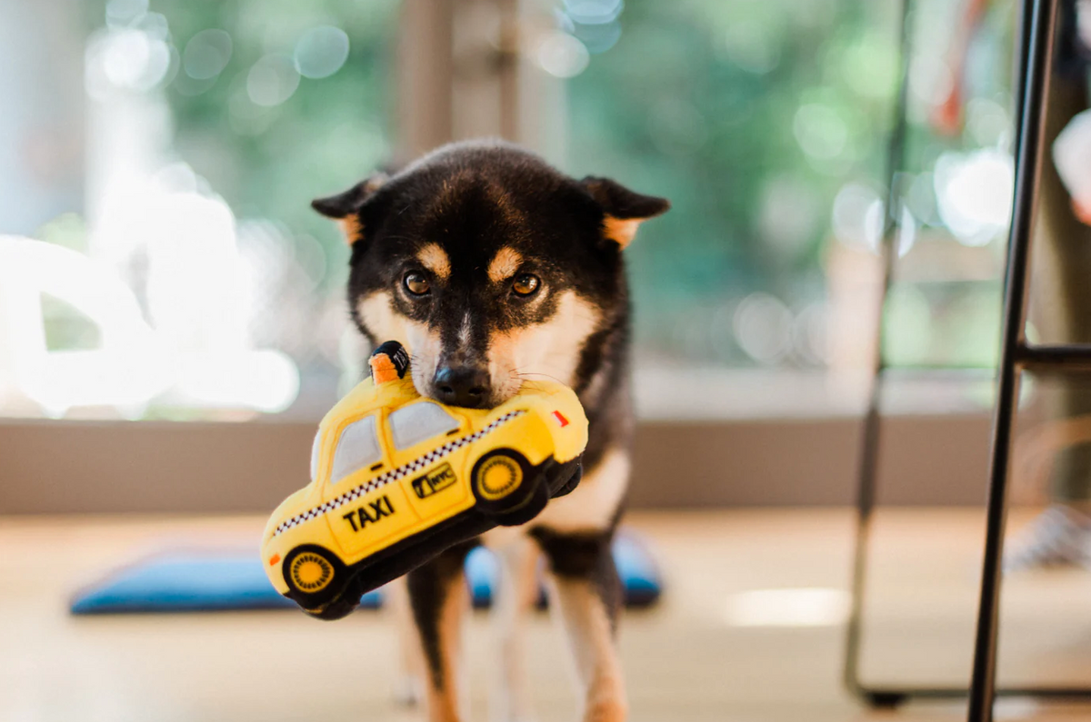 New York City Taxi Cab Plush Dog Toy
