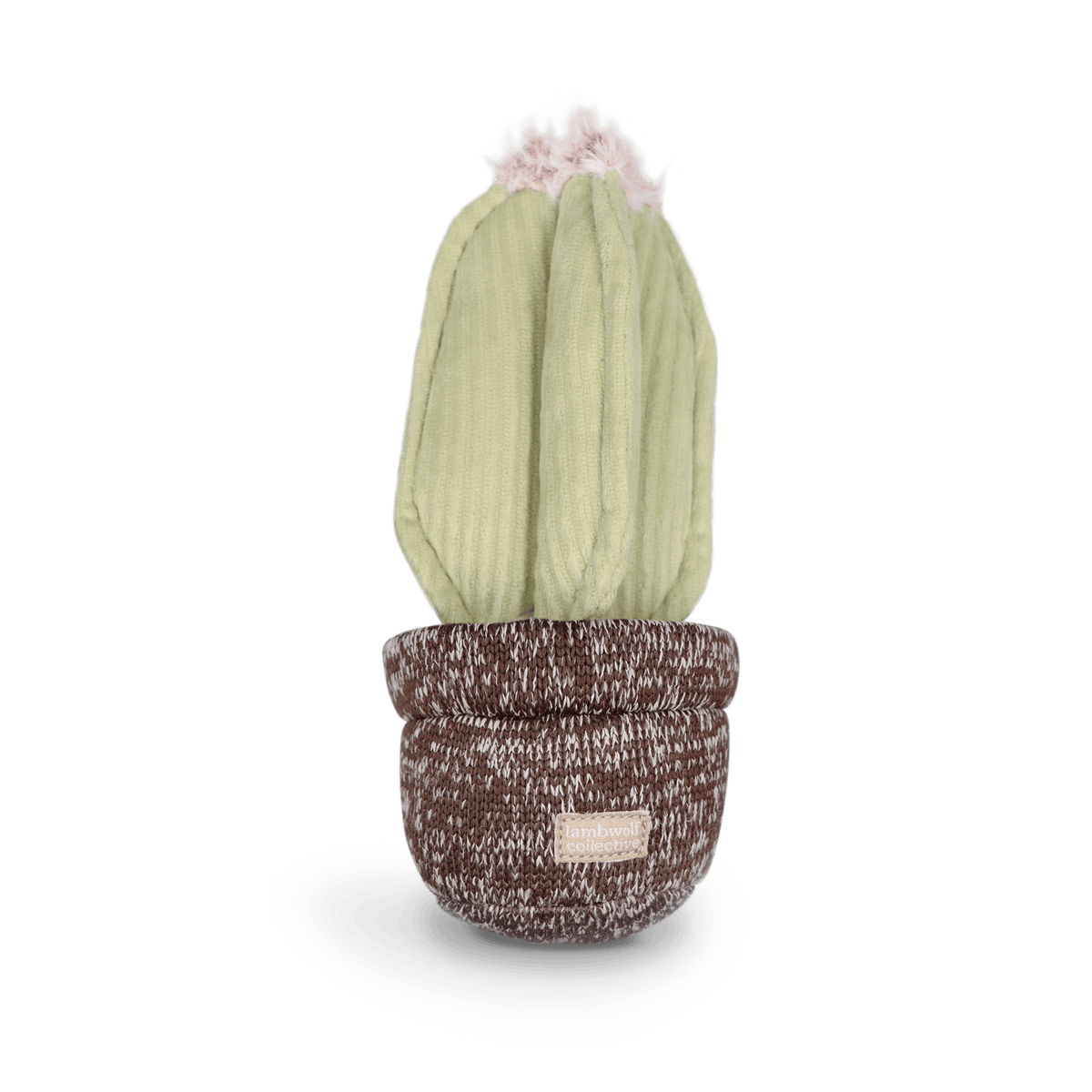 Cactus Pop Enrichment Toy