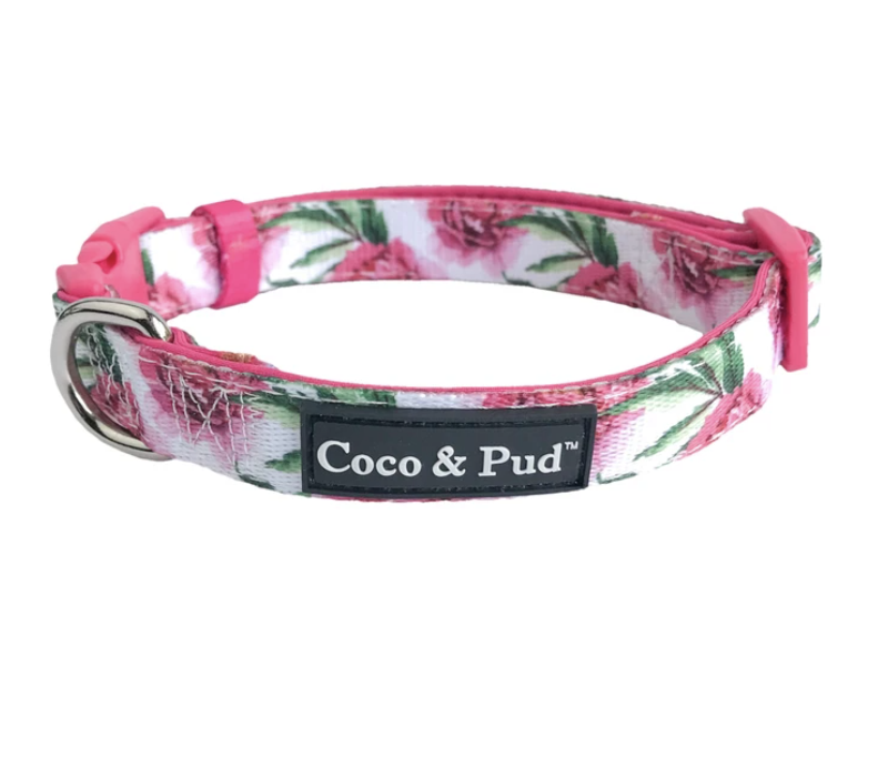 Designer Dog Collars | Online Boutique Pet Store | Charli & Coco